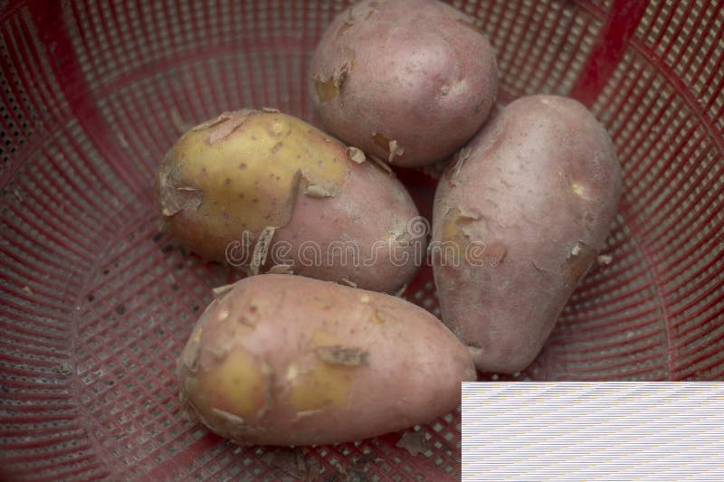 Four potato chips or crisp stock photo. Image of sailt - 113017578