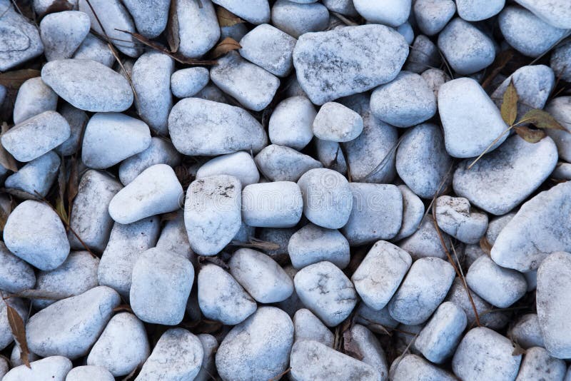 There are Leaves among the White Pebbles Stock Image - Image of concept ...