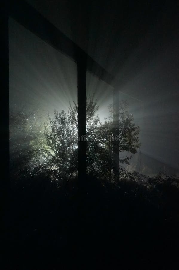 There is light at night. stock photo. Image of bush, night - 83062442