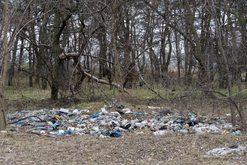 There is a Lot of Garbage in the Forest Stock Image - Image of garbage ...