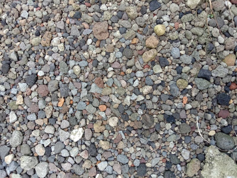 There are Lots of Pebbles and the Colors of the Pebbles Vary in Size ...