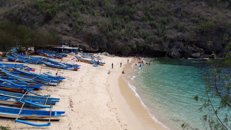There are Many Fish Fishermen on the Beach Editorial Photography ...