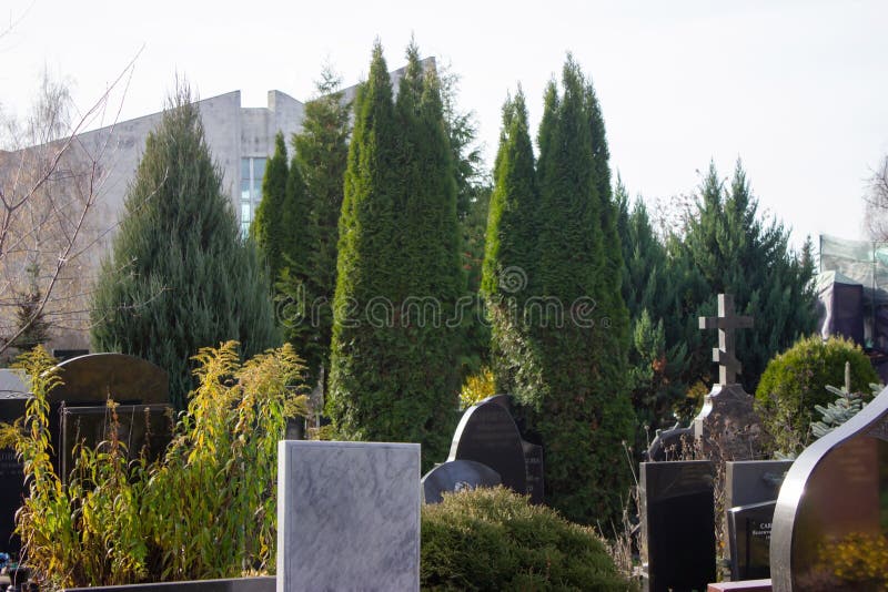 General View of the Burial at the Local Cemetery Stock Photo - Image of ...