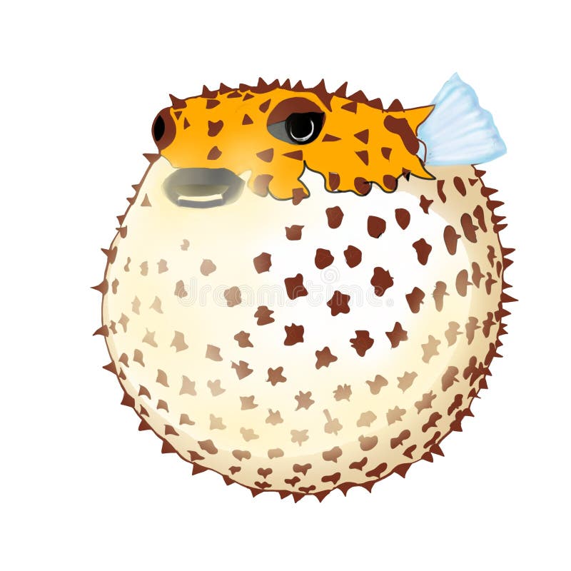There are Many Species of Puffer Fish Stock Illustration - Illustration ...