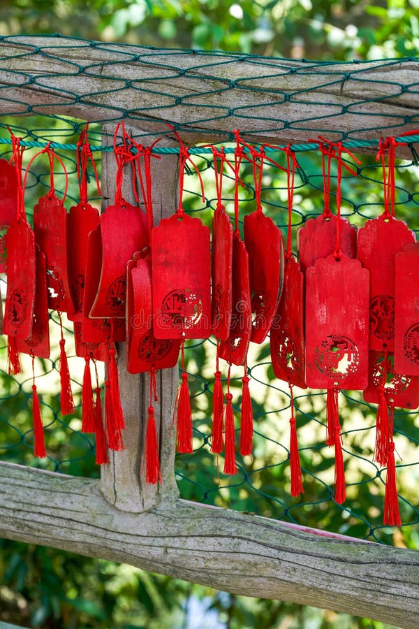 There are Many Wishing Cards Hanging on a Big Banyan Tree Stock Image ...