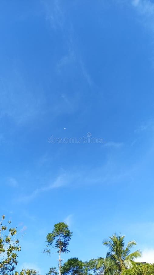 There is a Moon in the Blue Sky that is Bright and Beautiful in the ...