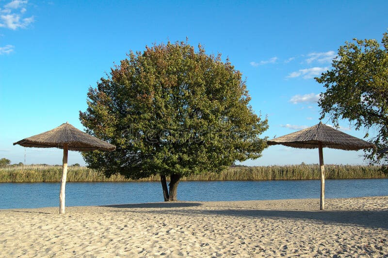 Beach on the River. Quarantine. Stock Photo - Image of lake, forest ...