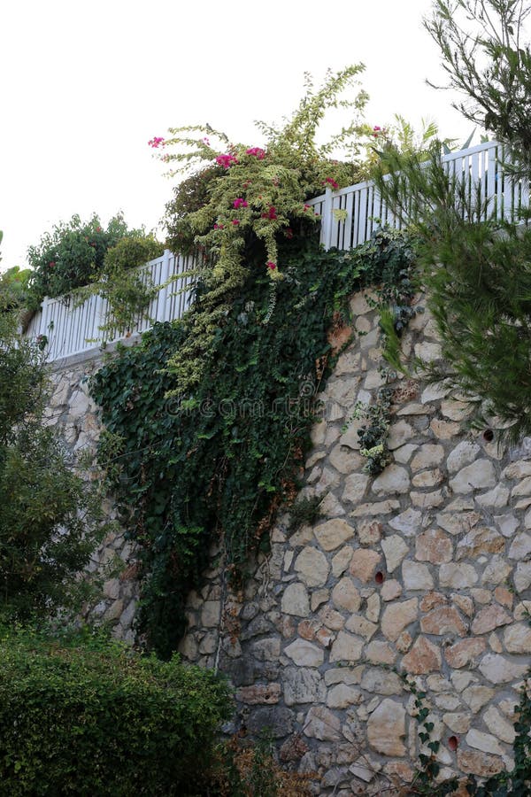 Stone wall stock photo. Image of windows, stone, israel - 100843880
