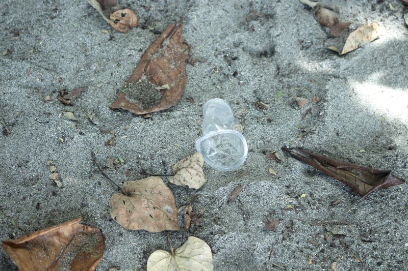 There is a Plastic Waste on the Beach Sand Stock Image - Image of clean ...