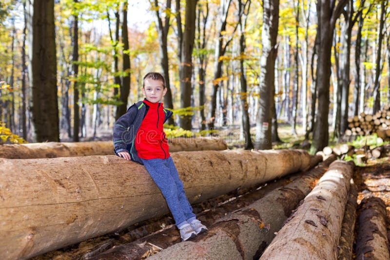 Happy Little Boy Stands Log Park Stock Photos - Free & Royalty-Free ...