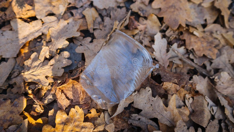 138 Cellophane's Stock Photos - Free & Royalty-Free Stock Photos from ...