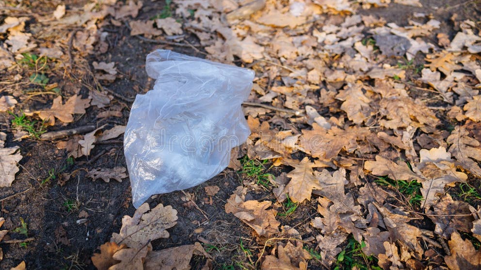 138 Cellophane's Stock Photos - Free & Royalty-Free Stock Photos from ...