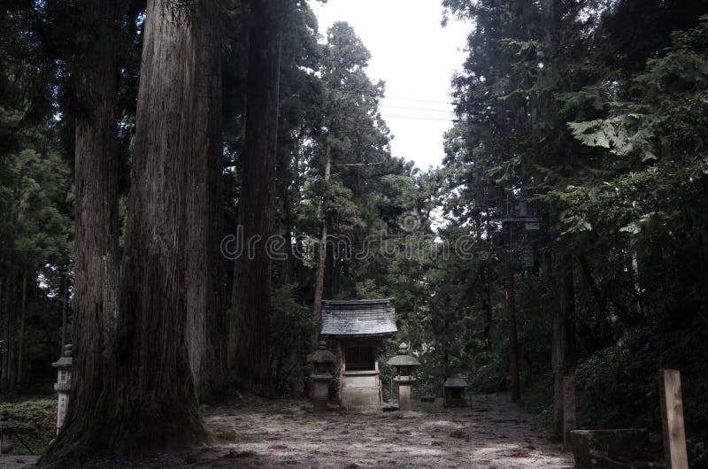 Small hut in the forest stock image. Image of landmark - 103165129