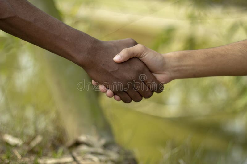 There is Two Hands a Black and a White Hand Meet One Another Hand and ...