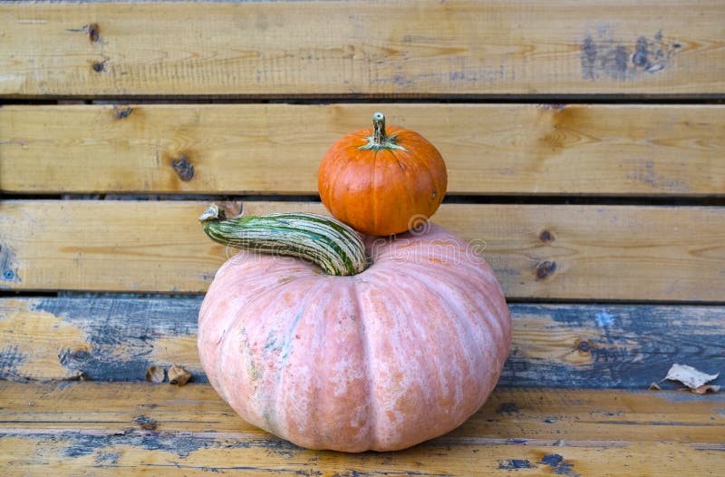 There are Two Pumpkins on the Bench - a Large One and a Small One ...