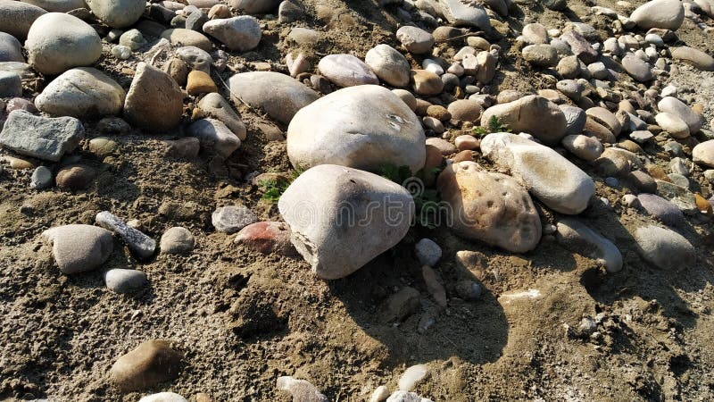 Many pebbles stock photo. Image of oval, shapes, shape - 2990012