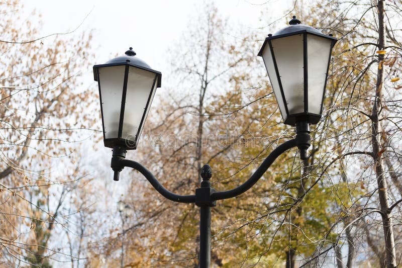 There are Two Street Lights in the Park in Autumn Stock Image - Image ...
