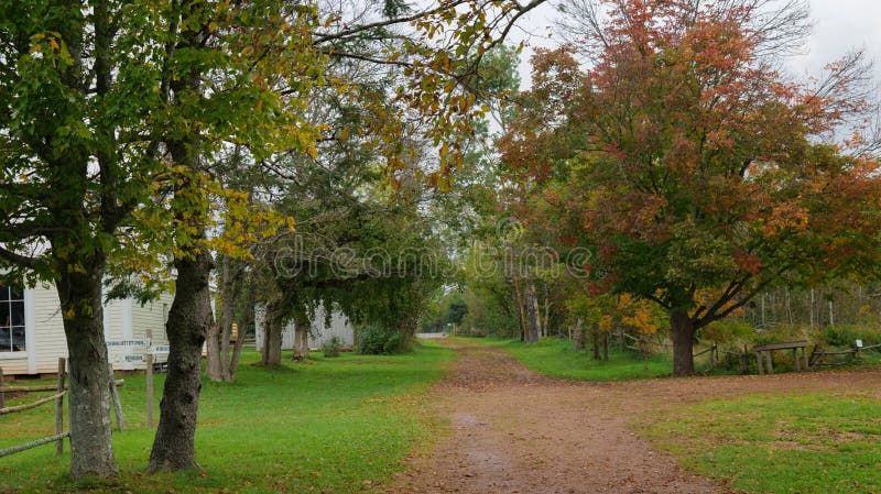 There are Two Trees Lining this Trail and One in the Background Stock ...