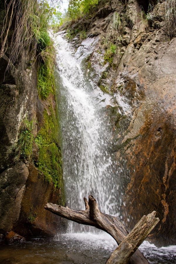 There is a Waterfall with a Tree in the Middle of it Stock Image ...