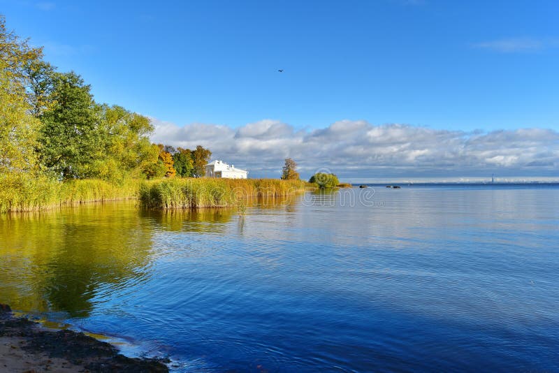 Blue Sky, Yellow Trees, Blue Baltic Stock Photo - Image of clarity ...