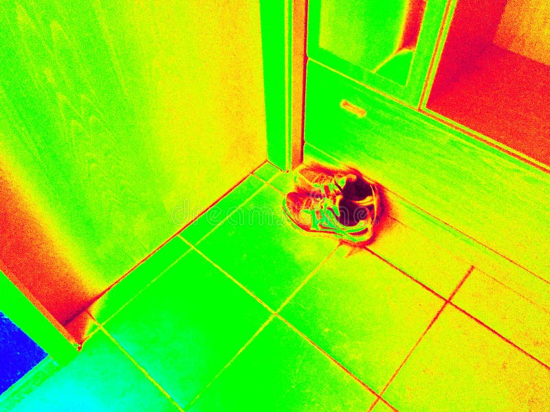 Thermal Image Recordings of Temperature Differences Stock Image - Image ...