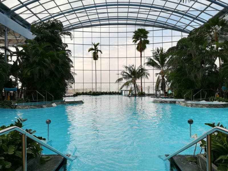 Thermal Pool and Tropical Vegetation Editorial Stock Image - Image of ...