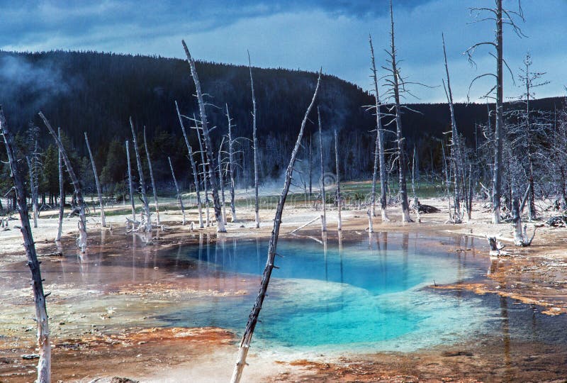 Thermal Pool in Yellowstone National Park Stock Image - Image of ...