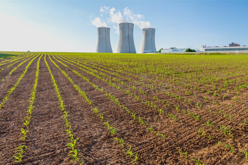 Thermal Power Plant, Corn Field Stock Photo - Image of industry, field ...