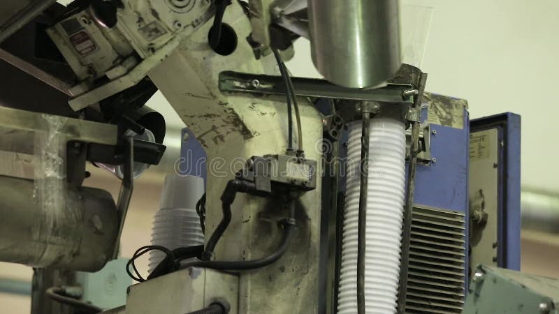 Thermoforming Process of White Plastic Containers on Production Line ...