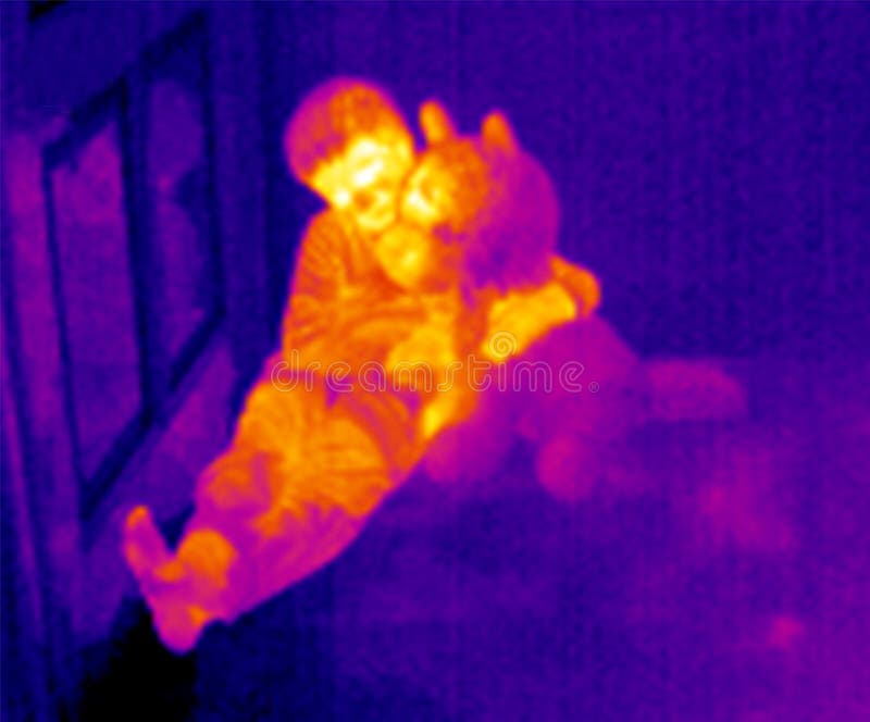 Infrarode hond stock afbeelding. Image of gevreesd, straling - 7739503