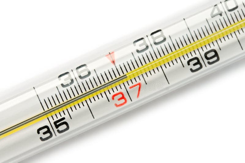 Rulers stock photo. Image of measure, education, elementary - 14700