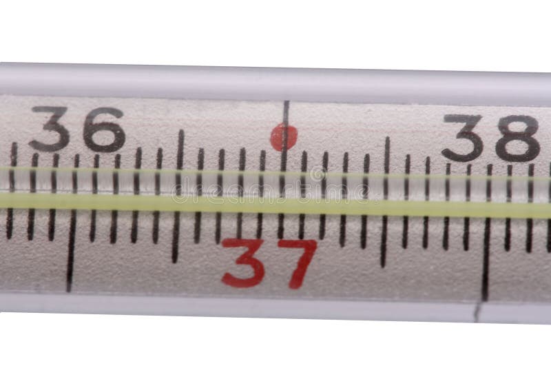 Body Thermometer Displaying Healthy Human Body Temperature 36. 6 Gradis ...