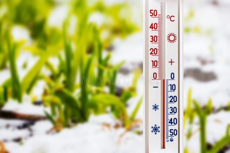 A Thermometer on a Background of Grass Covered with Snow Shows Zero ...