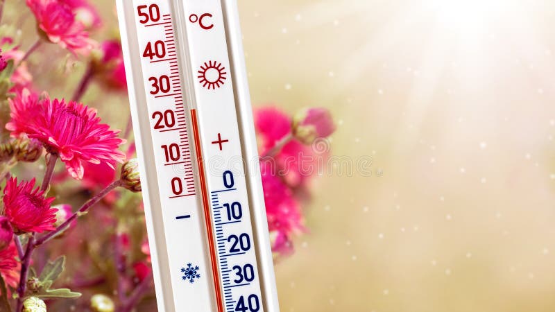 Measurement of Air Temperature in the Street in Spring or Summer. the ...