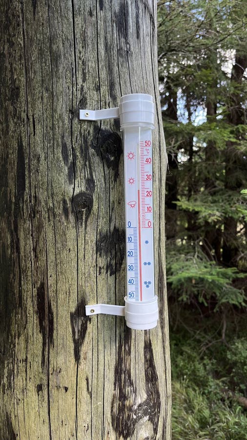 A Thermometer is Installed on a Tree Trunk in the Mountains Showing the ...