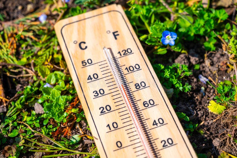 Thermometer Lying in the Grass. Stock Photo - Image of climatic ...
