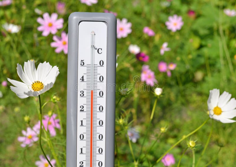 A Thermometer on a Natural Floral Background. Stock Photo - Image of ...