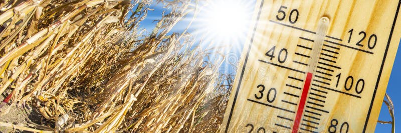 Thermometer Shows High Temperature in Summer Heat Stock Image - Image ...