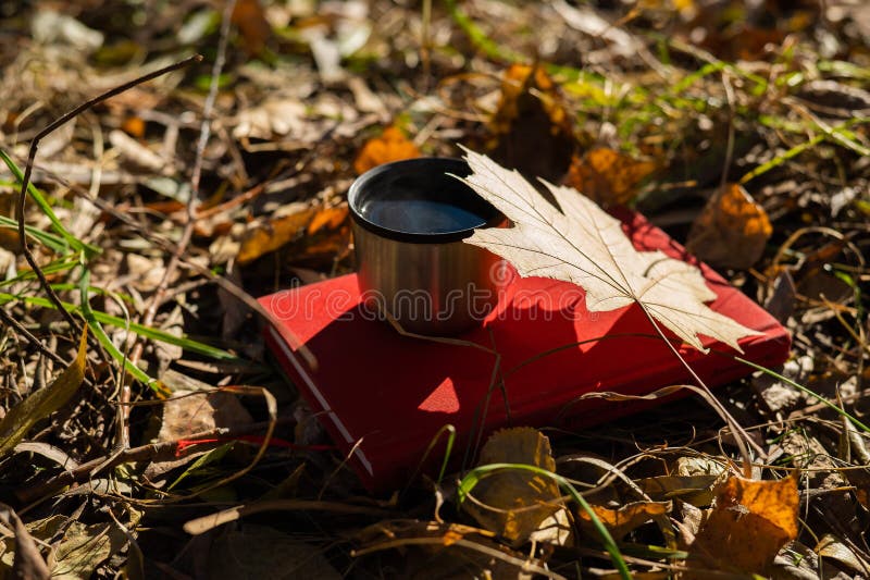 Thermos of Hot Tea Red Book and Yellow Fallen Maple Leaf in Autumn ...