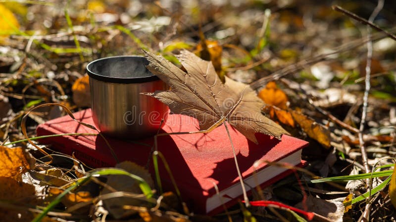 Thermos of Hot Tea Red Book and Yellow Fallen Maple Leaf in Autumn ...