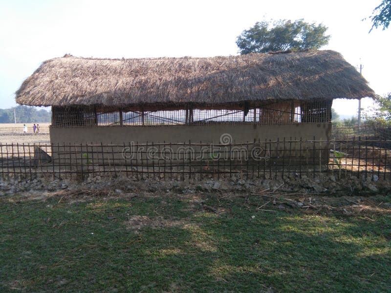 Bamboo house stock photo. Image of assamese, thes, bamboo - 122671648