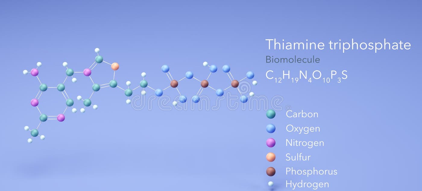 Structural Formula Thiamine Stock Illustrations – 42 Structural Formula ...