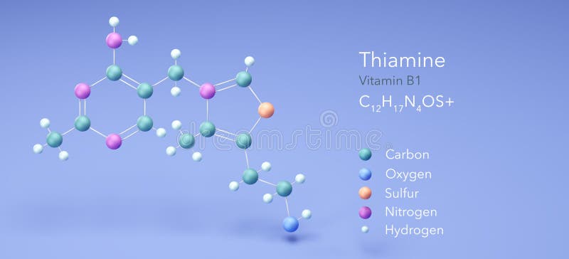 Thiamine, Vitamin B1, Molecular Structures, 3d Model, Structural ...