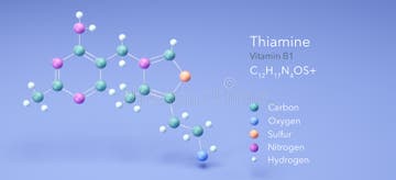 Thiamine, Vitamin B1, Molecular Structures, 3d Model, Structural ...
