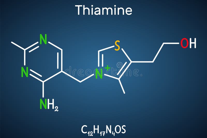 Thiamine, Vitamin B1 Molecule. Structural Chemical Formula on the Dark ... Thiamine, Vitamin B1 Molecule. Structural Chemical Formula on the Dark ...