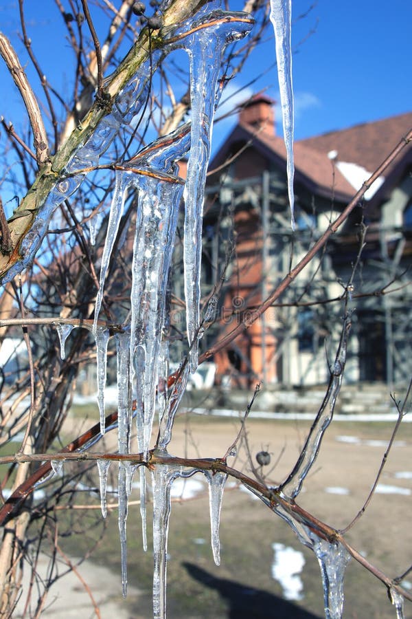 Nordic Ice Wood Texture Stock Photos - Free & Royalty-Free Stock Photos ...