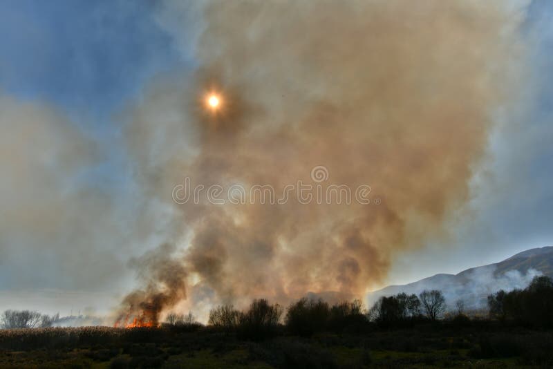 Thick Black Smoke Rises High and the Sun is Seen Behind the Smoke ...