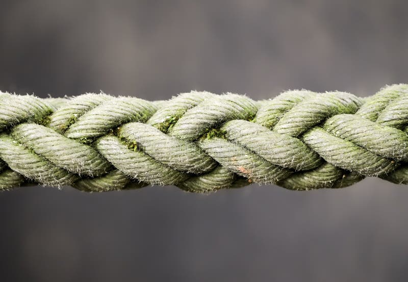 Thick braided rope stock photo. Image of closeup, detail - 321647352