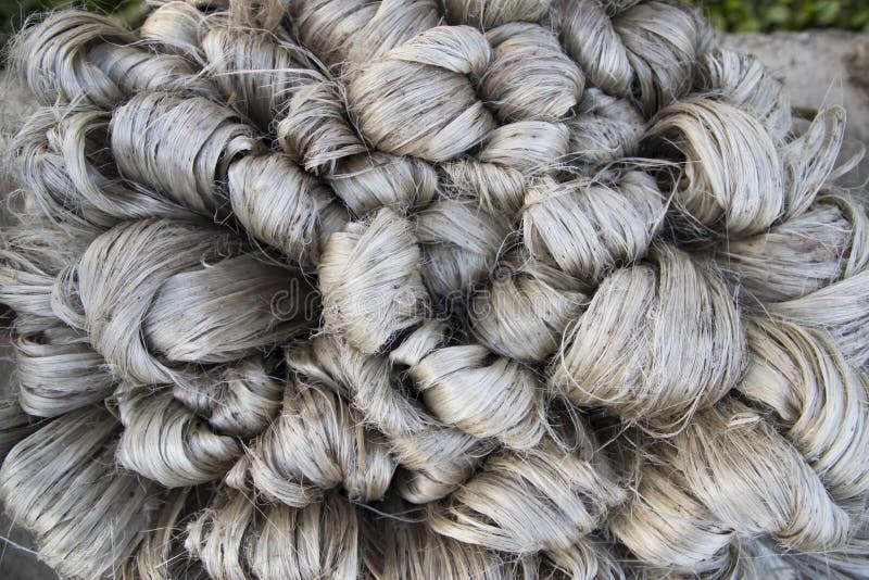 Thick Brown Bundle of Raw Jute Fiber Texture Background Stock Image ...