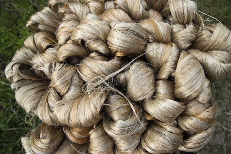 What Is Texture Of Jute Fiber at Cameron Coppin blog
